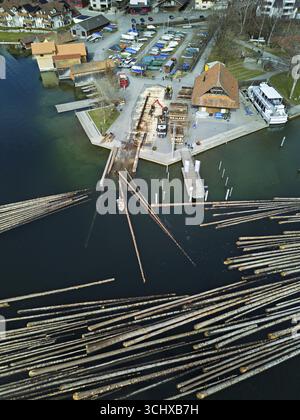 Raft of felled tree trunks at the landing stage where the trunks are ...