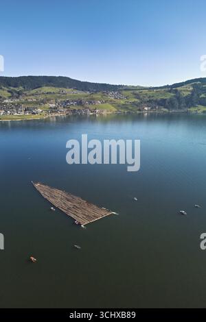 Forestry workers float a raft of felled tree trunks from the Bergmatt ...
