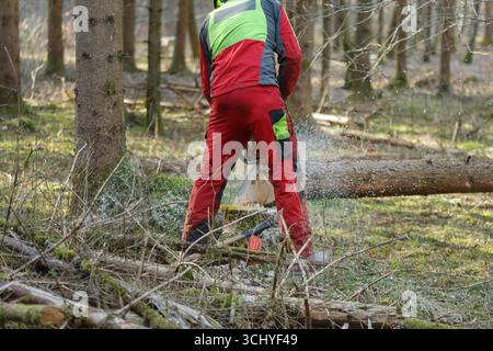 Worker uses chainsaw to cut tree stump in wooded area near storage shed ...