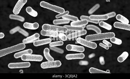 Bacteria under microscope. Bacteria under the microscope. Disease ...