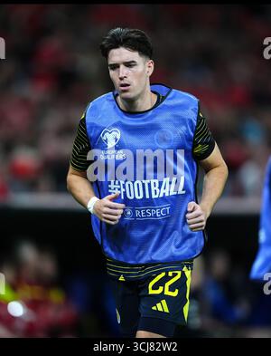 Scotland's Max Johnston during the FIFA World Cup European Qualifying ...