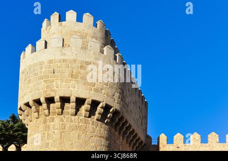 A good sentinel: Gate of the Alcázar in the old walls of Ávila Stock ...