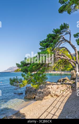 Scenic rocky cove with crystal-clear turquoise water on the Adriatic ...