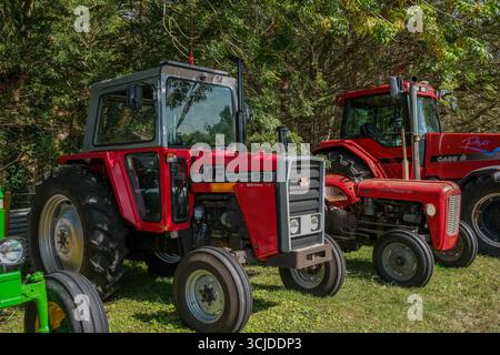 September 2025 - Vintage Massey Ferguson tractors on show at Ashcott in ...