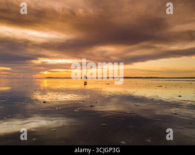 A mesmerizing view of the golden sunset over the sea Stock Photo - Alamy