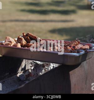 Barbecue grill placed on green lawn in courtyard of cottage with lush ...