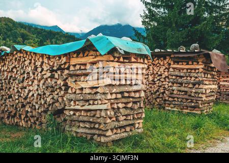 A stack of firewood covered with tarp in the green forest Stock Photo ...