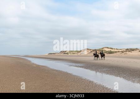 Horse-riders on the beach at low tide Stock Photo - Alamy