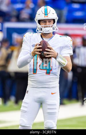 Miami Dolphins quarterback Quinn Ewers (14) greets a Cincinnati Bengals ...