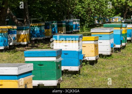 Set of beehives on a rural area Stock Photo - Alamy