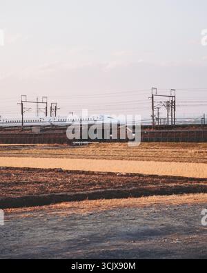 A sleek white high-speed train at a station platform under a modern ...