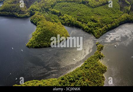 Aerial view, Rursee Rurtalsperre and wooded shore areas, the Rursee ...