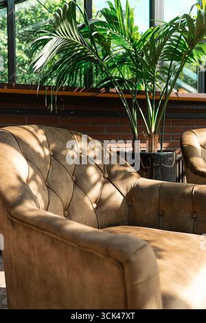 Interior of room with stylish armchair and houseplants Stock Photo - Alamy