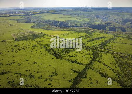 Aerial view, forest area and Dreiborn plateau nature reserve NSG ...