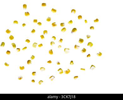 A scattered arrangement of yellow corn kernels on a white background ...
