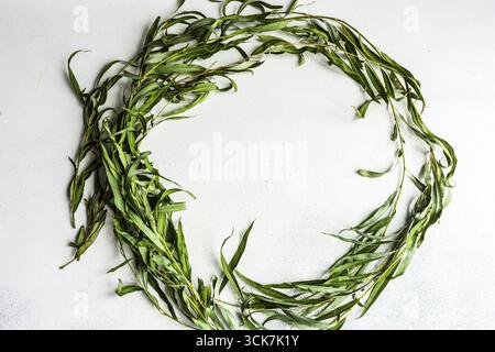 Easter frame concept with willow branches on concrete background with ...
