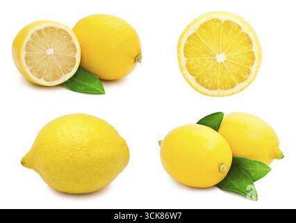 Collection of fresh tasty lemons isolated on white background Stock ...
