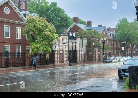 September 6, 2025 Cambridge, Massachusetts,, USA Wiggelsworth Hall ...