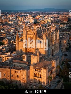 Aerial view of the capital of Mallorca - Palma de Mallorca in Spain ...