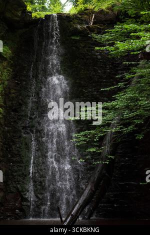 Close-up of Falling Foss waterfall in Sneaton Forrest, near Whitby on ...