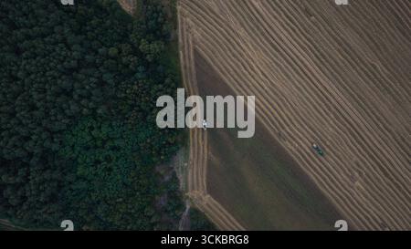 Agricultural field near the dense forest Stock Photo - Alamy