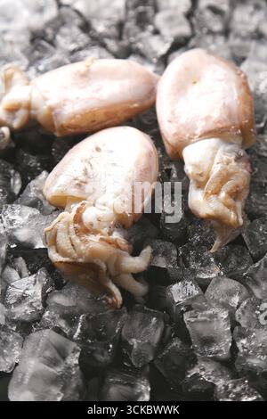 Squid cuttlefish at wet market Stock Photo - Alamy