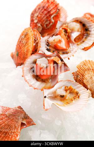 Platter of fresh scallops on ice, beautifully displayed at an outdoor ...