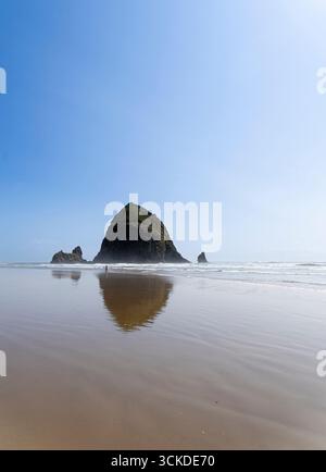 Vertical shot of the famous Haystack Rock on the rocky shoreline of the ...