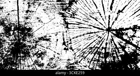 Radial fungal decay on wood with grunge texture for design and overlay ...