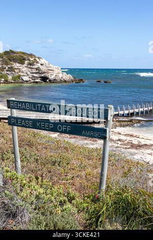 Rehabilitation project at the white sand beach at Gnarabup, Prevelly ...