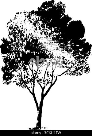 High contrast illustration of a rustic tree trunk with visible annual ...