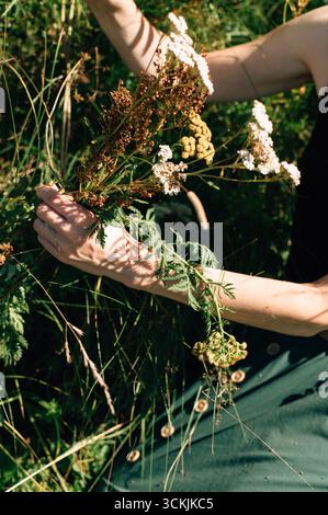 Girl in lupine field. Sunny summer day. The concept of happiness and ...