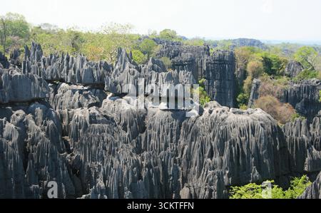 Dramatic limestone pinnacles at Tsingy de Bemaraha National Park ...