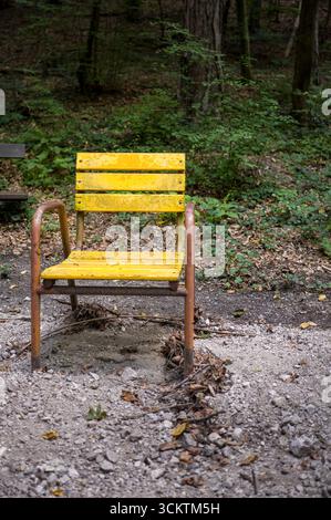 broken wooden chair in the woods, in summer Stock Photo - Alamy