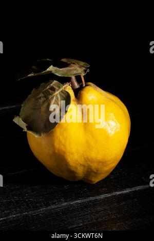 one quince on wood background Stock Photo - Alamy