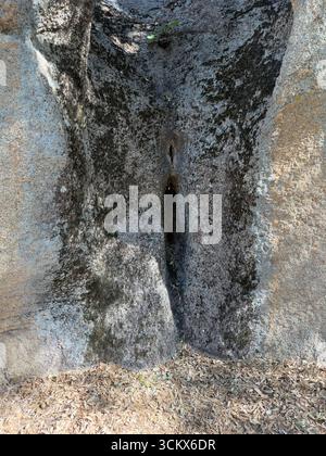 Ancient rock-cut altar with multiple niches under oak trees in Sardinia ...