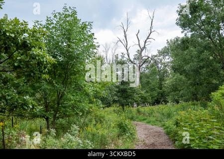 North Park Village Nature Center, Chicago Stock Photo - Alamy