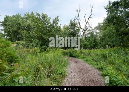 North Park Village Nature Center, Chicago Stock Photo - Alamy