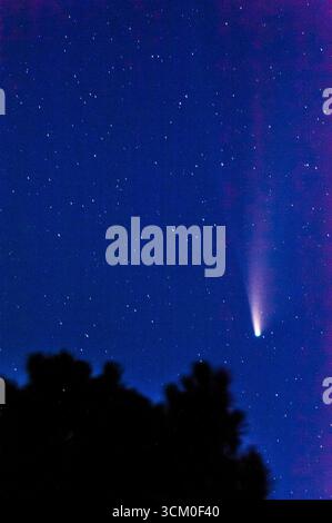 Night photo of C/2020 F3 Neowise comet above corn field Stock Photo - Alamy