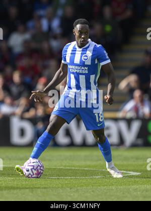 Brighton and Hove Albion's Danny Welbeck before the Premier League ...