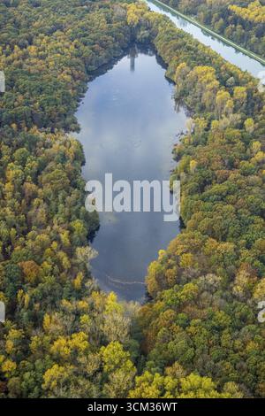 Aerial view, Beverwald, autumn forest, connection parking Werner Straße ...