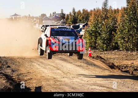 08 Ott TÄNAK, Martin JÄRVEOJA, Hyundai I20 Rally1, action during the ...