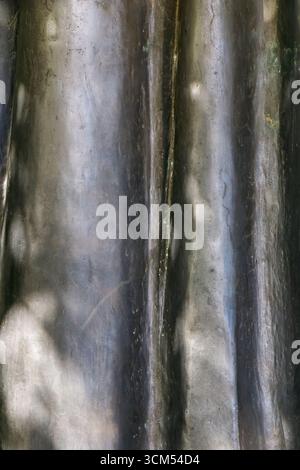 Dark abstract background of scratched surface. Faded paint texture ...