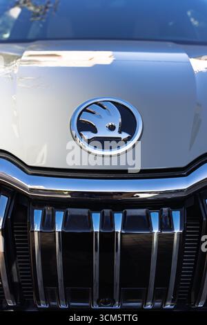 Skoda Kodiaq front Stock Photo - Alamy