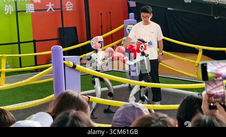 Tourists visit Humanoid Robot G1 from Unitree Technology fighting ...
