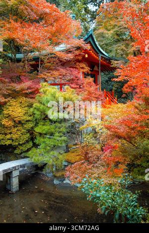Kyoto, Japan - November 22 2024: Bishamondo Temple with beautiful ...