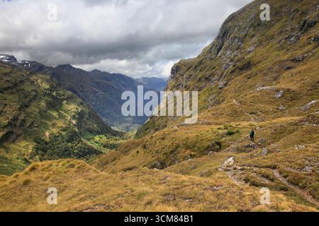 Dusky Track New Zealand Stock Photo - Alamy