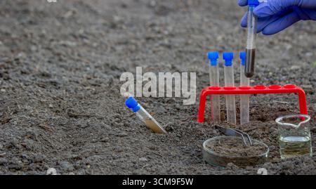 A scientist takes soil into a test tube for analysis. Selective focus ...