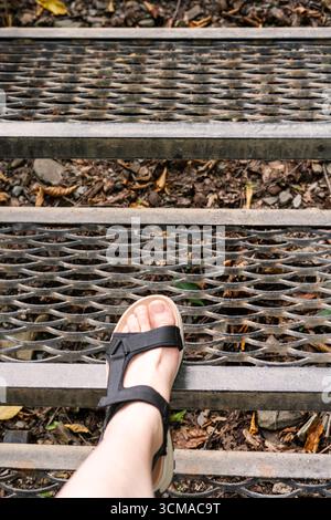 Woman walking up rustic steps on a leaf-covered woodland path near the ...