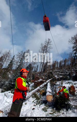 a forest cableway for transportation of wood and timber in forestry a ...